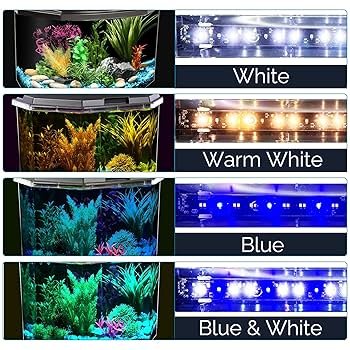 Led Lighting for Large Ornamental Tanks: Stunning Visual Impact - Top ...