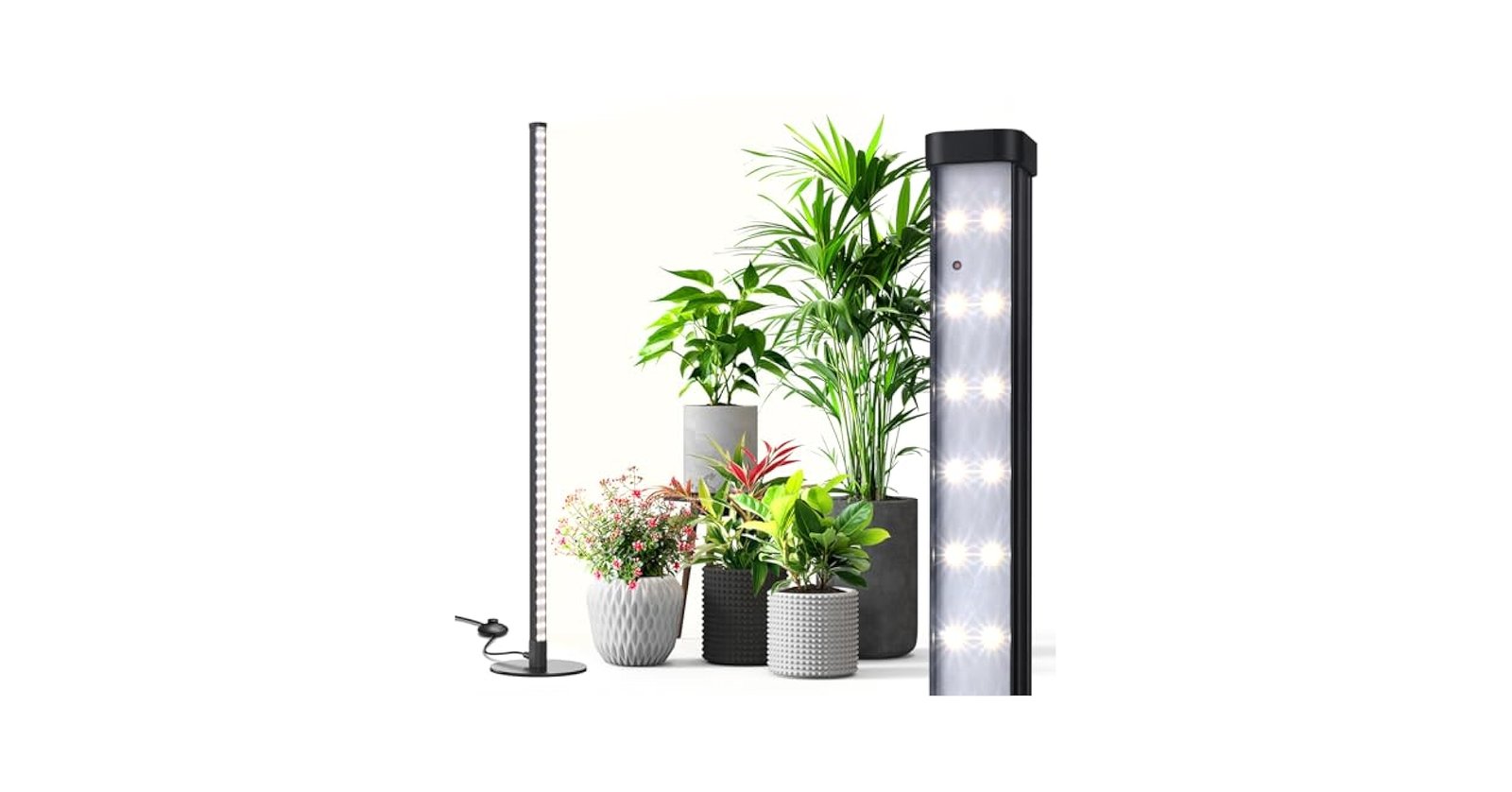 Led Lighting for Ornamental Plant Growth: Boost Vibrancy & Health - Top ...