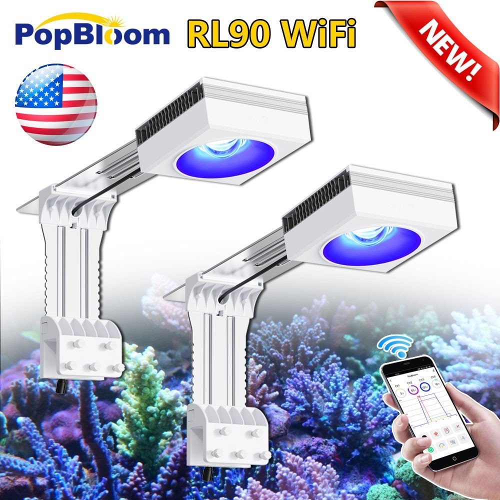Led Lighting for Reef Propagation Tanks: Boost Growth & Health - Top ...