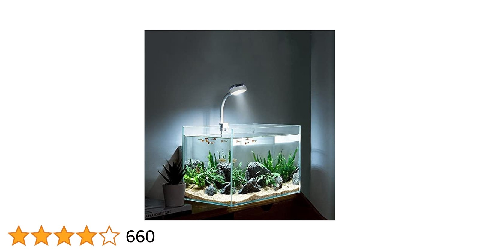 Led Lighting for Small Tanks: Brighten Your Aquarium Perfectly - Top ...