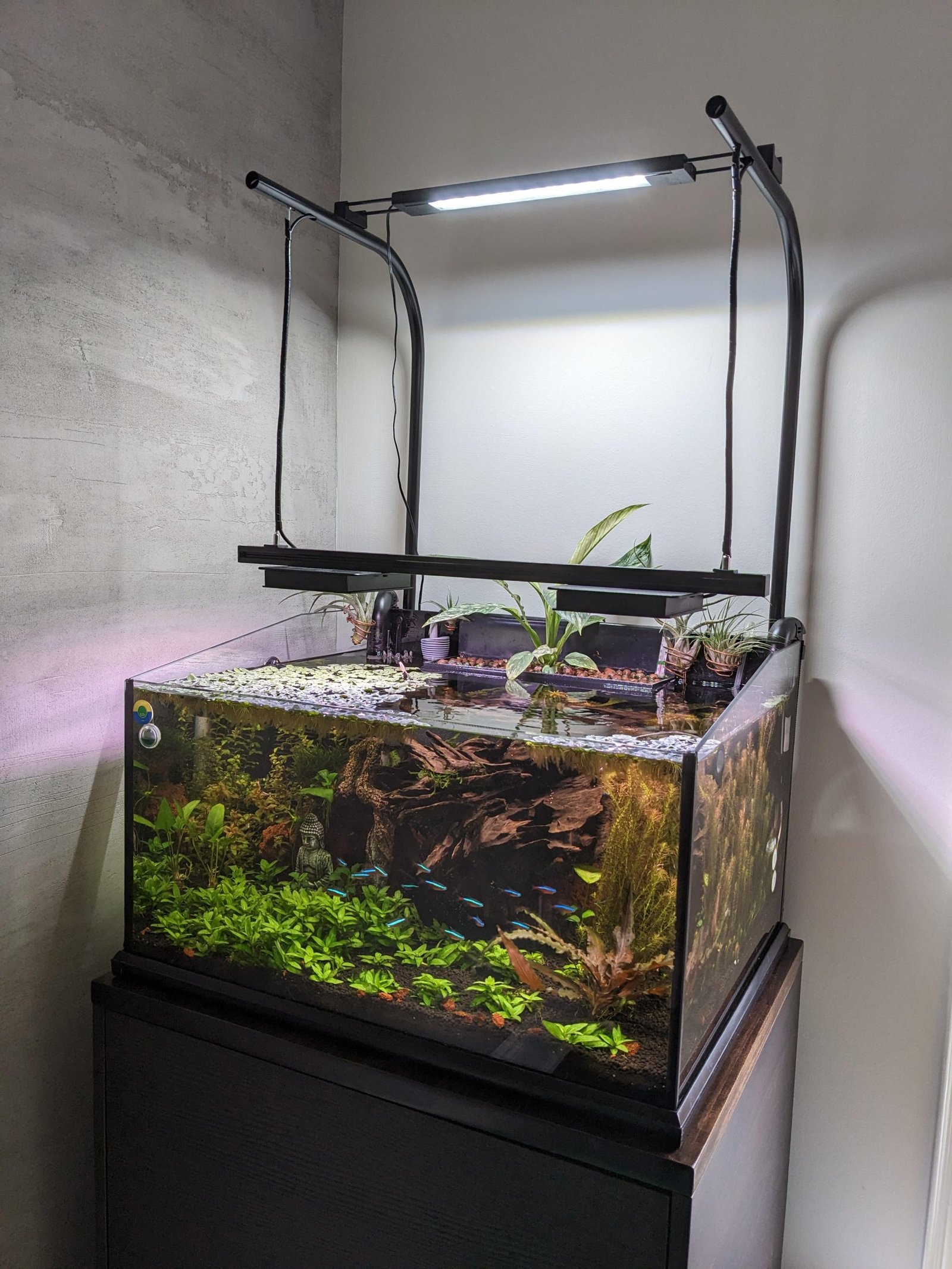 Led Lighting for Tank Aesthetics: Transform Your Aquarium Glow - Top ...