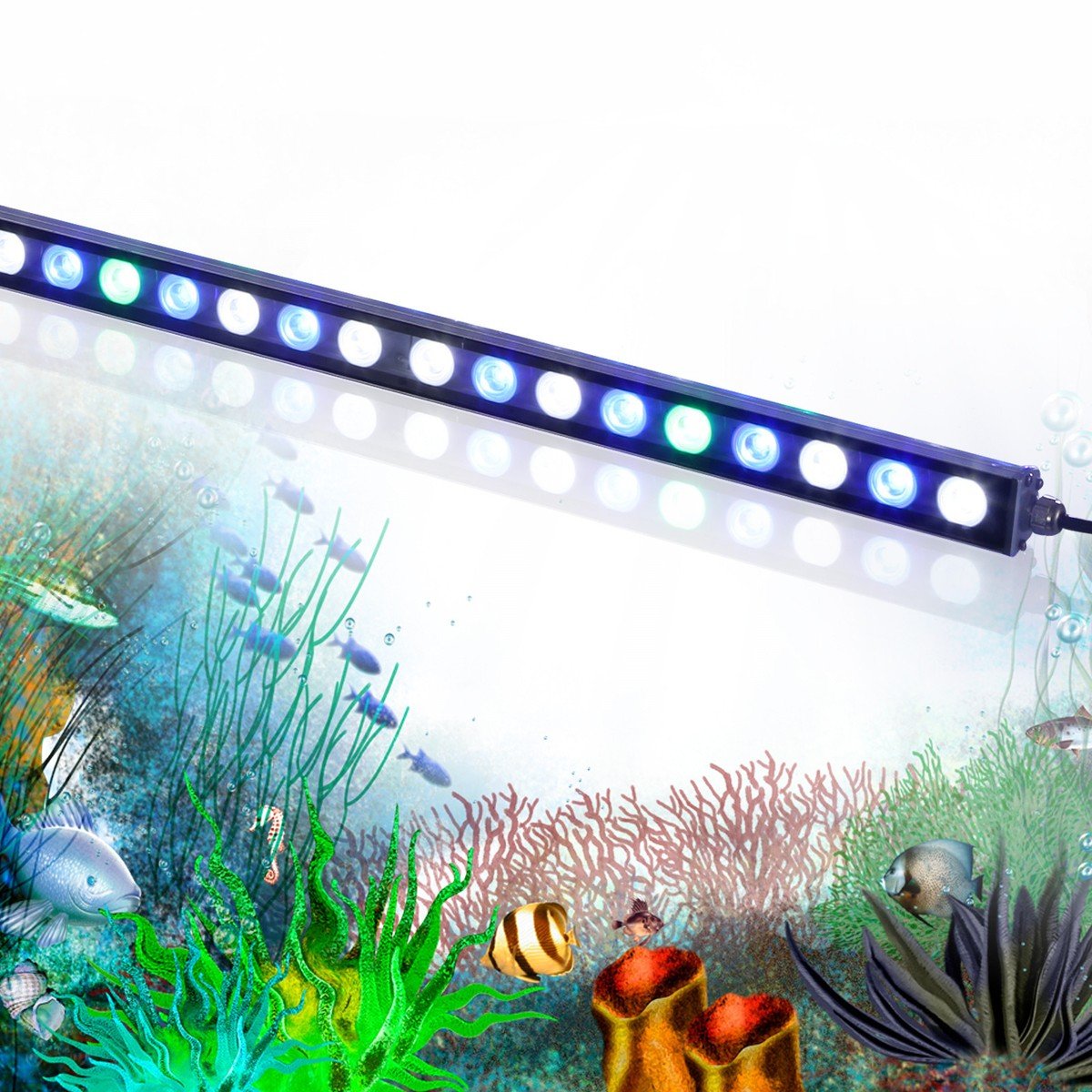 Led Strip Lights for Fish Tanks: Brighten & Beautify Effortlessly - Top ...