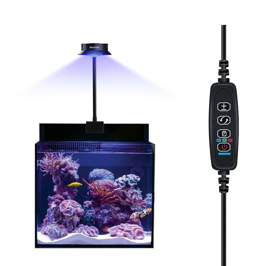 Light Spectrum for Coral Tanks: Ultimate Guide to Vibrant Growth - Top ...
