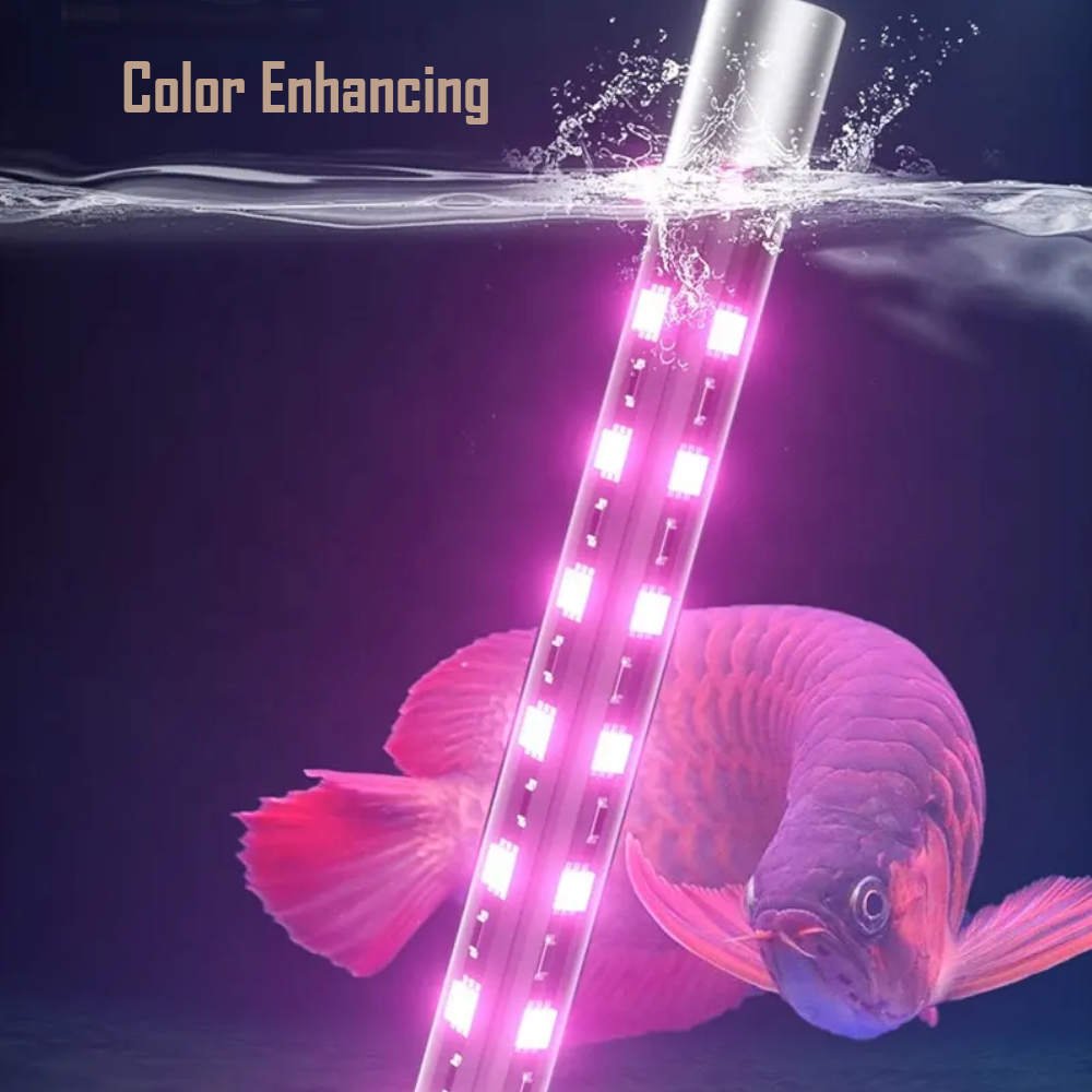 Lighting for Aquarium Fish Color Enhancement: Ultimate Brightness Boost ...