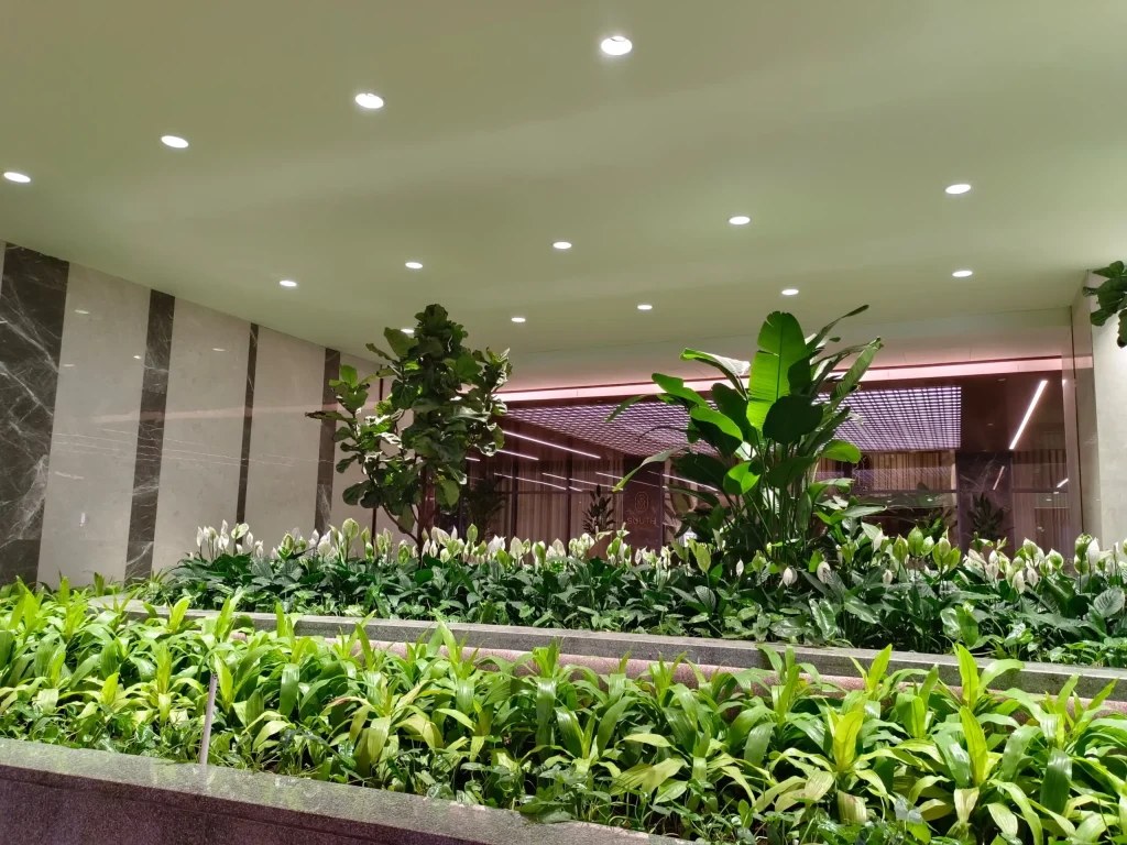 Lighting for Breeding Success: Essential Tips for Optimal Results ...