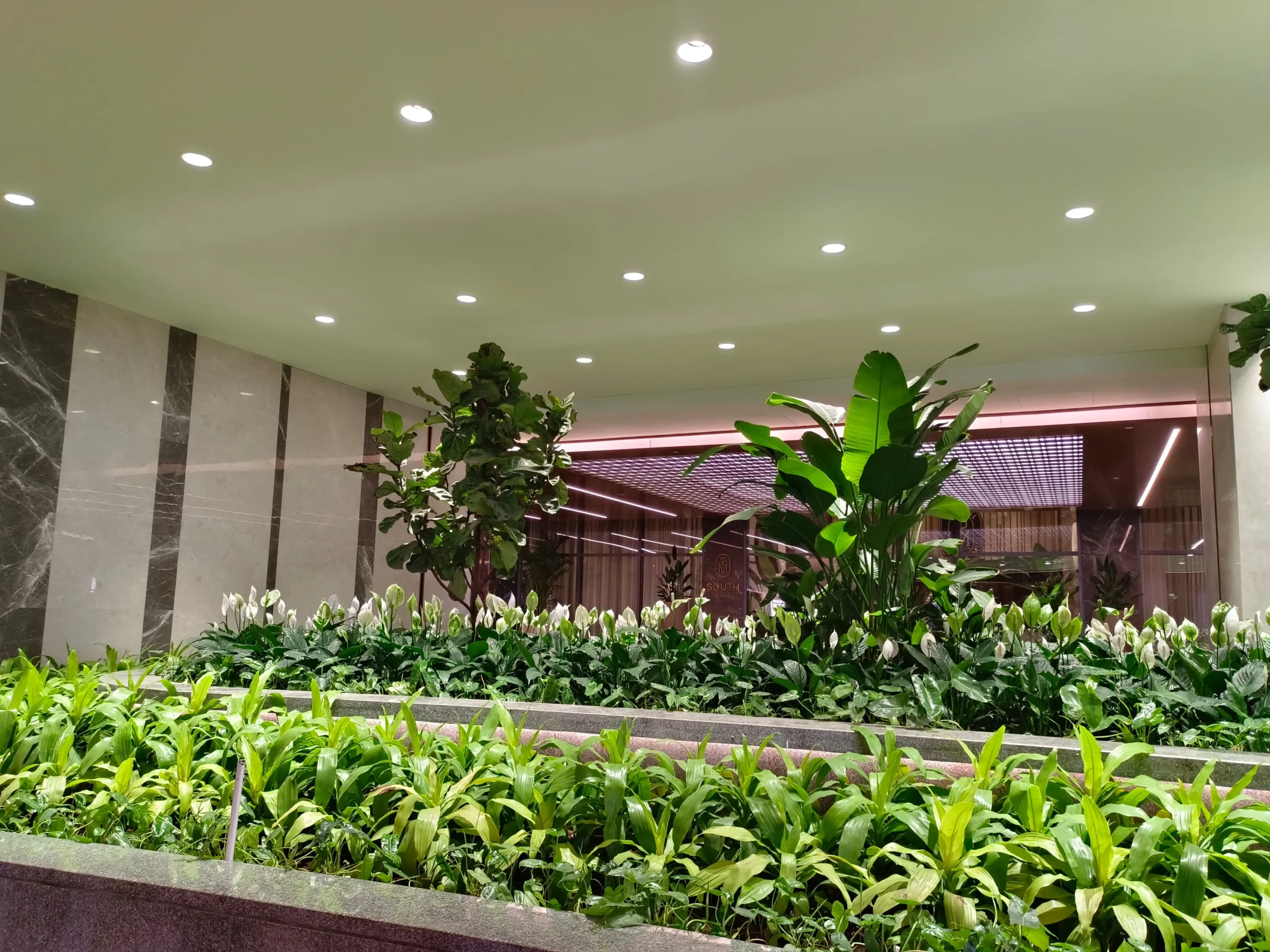 Lighting for Breeding Success: Essential Tips for Optimal Results - Top ...