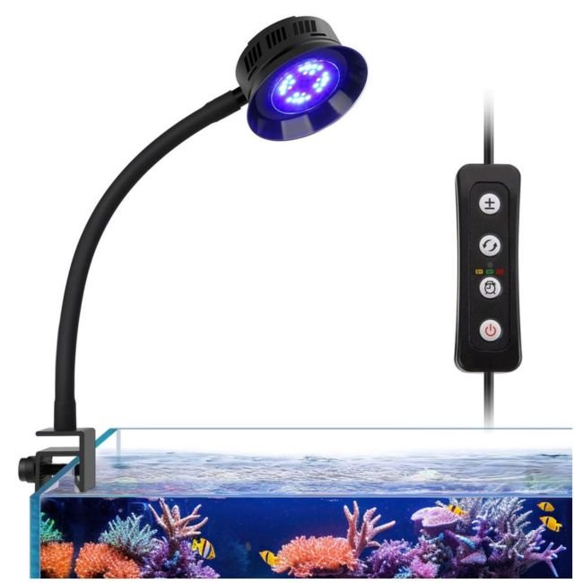 Lighting for Marine Ornamental Fish: Ultimate Guide to Vibrant Tanks ...