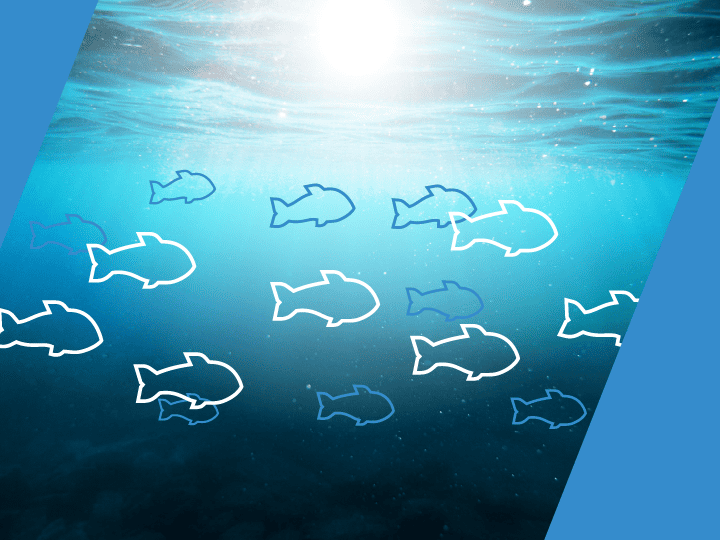 Lighting for Seasonal Fish Breeding: Ultimate Guide to Success - Top ...