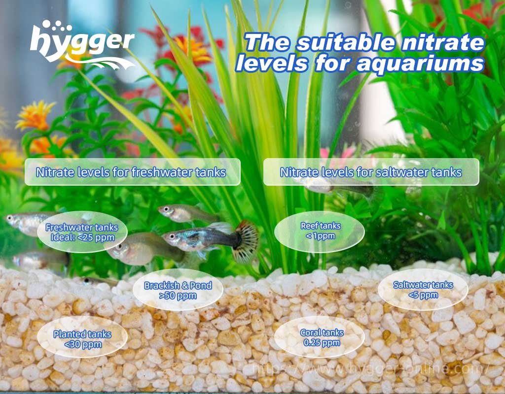 Maintaining Nitrate Levels in Aquarium: Essential Tips for Healthy Fish ...