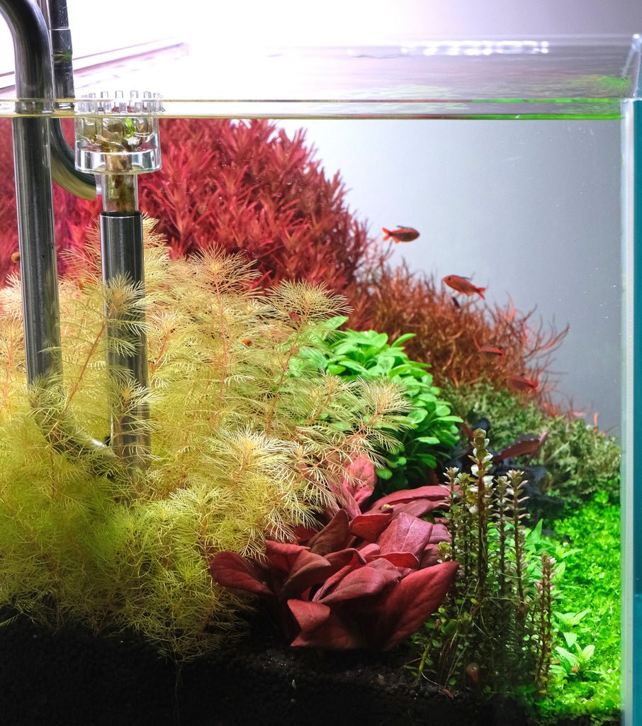 Mechanical Filter Media Benefits: Unlock Superior Water Quality Today ...