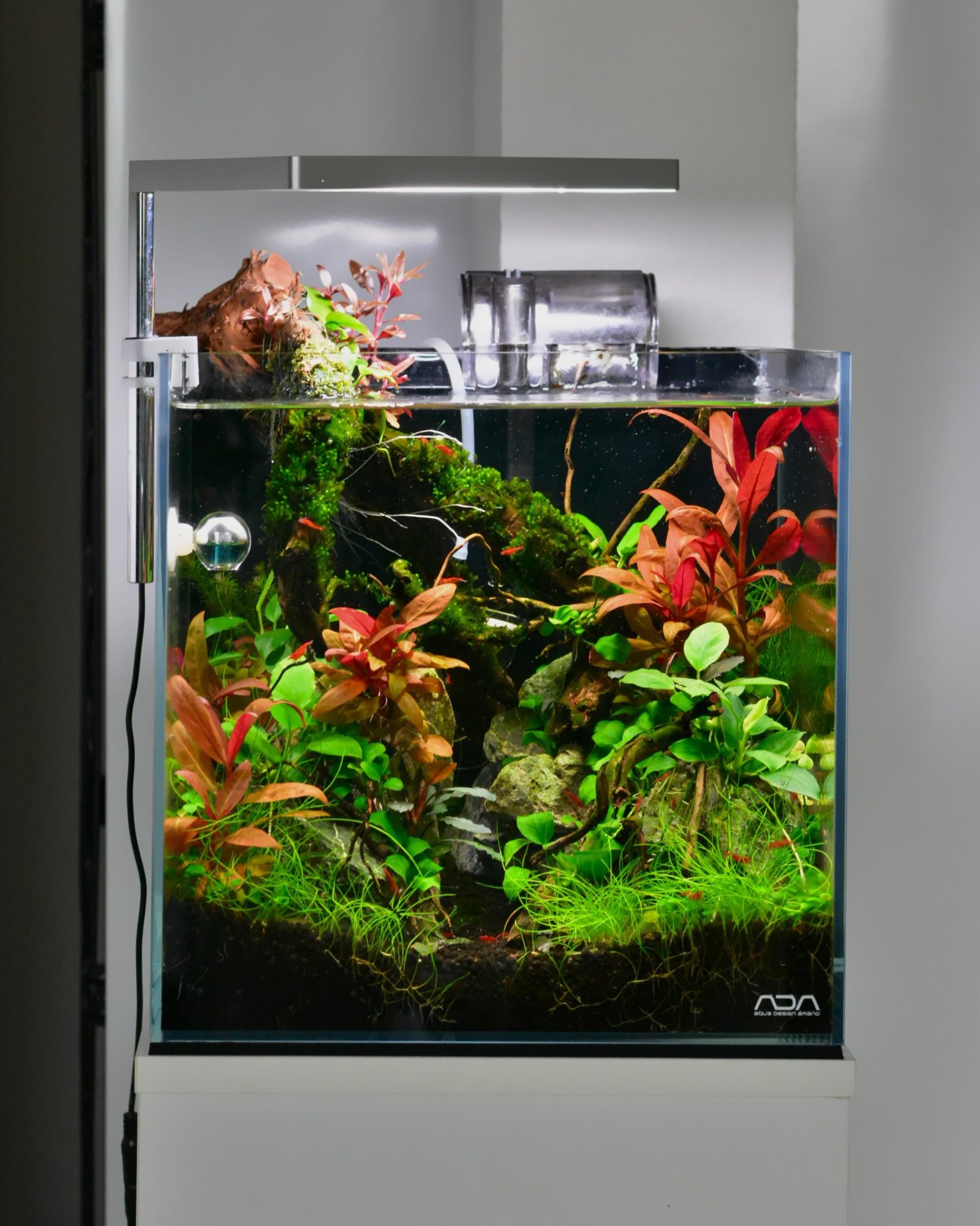 Nano Tank Aquascaping Ideas: Stunning Designs for Small Spaces - Top ...