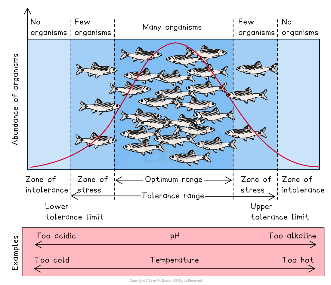 Species-Specific Temperature Needs: Essential Tips for Optimal Care ...
