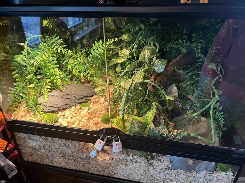 Temperature Gradient Setups in Large Tanks: Ultimate Guide to ...