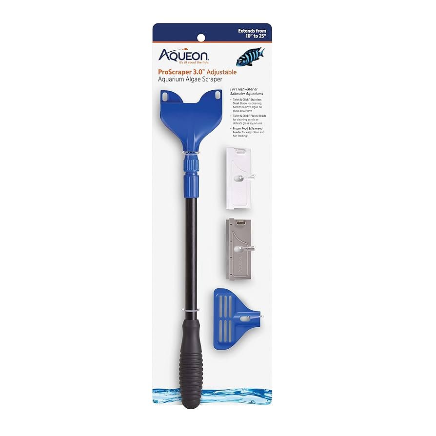 Tools for Removing Algae from Tank Edges: Top Effective Solutions - Top ...