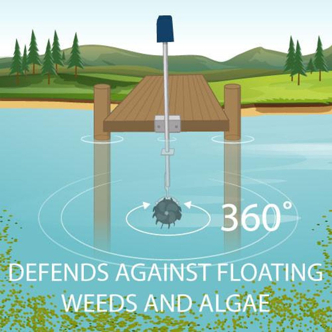 Tools for Removing Algae Naturally: Effective Eco-Friendly Solutions ...