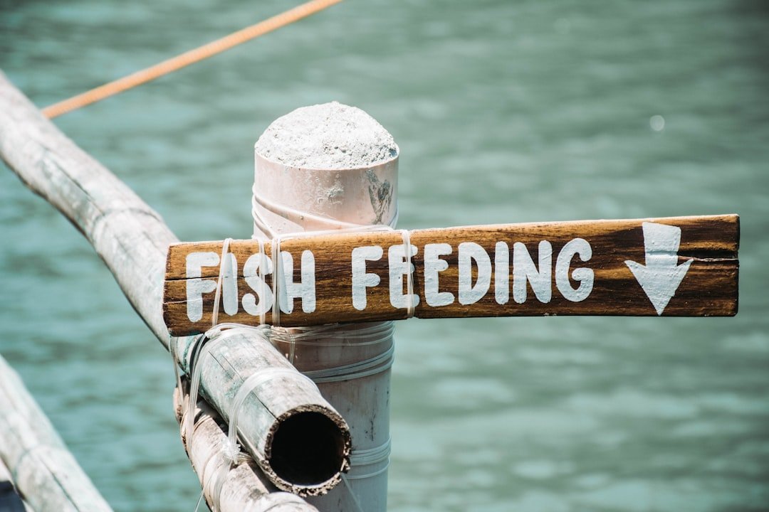Fish Food Rotation Tips: Boost Health with Expert Feeding Strategies ...