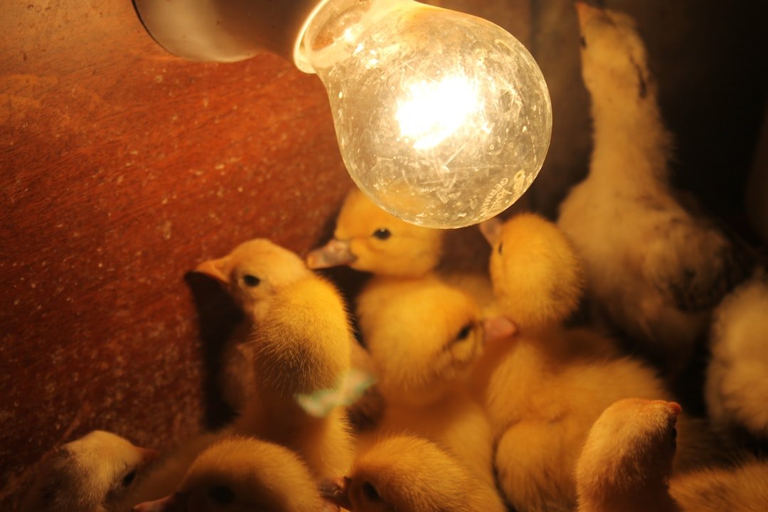 Led Lighting for Breeding Monitoring: Boost Success Rates Fast - Top ...