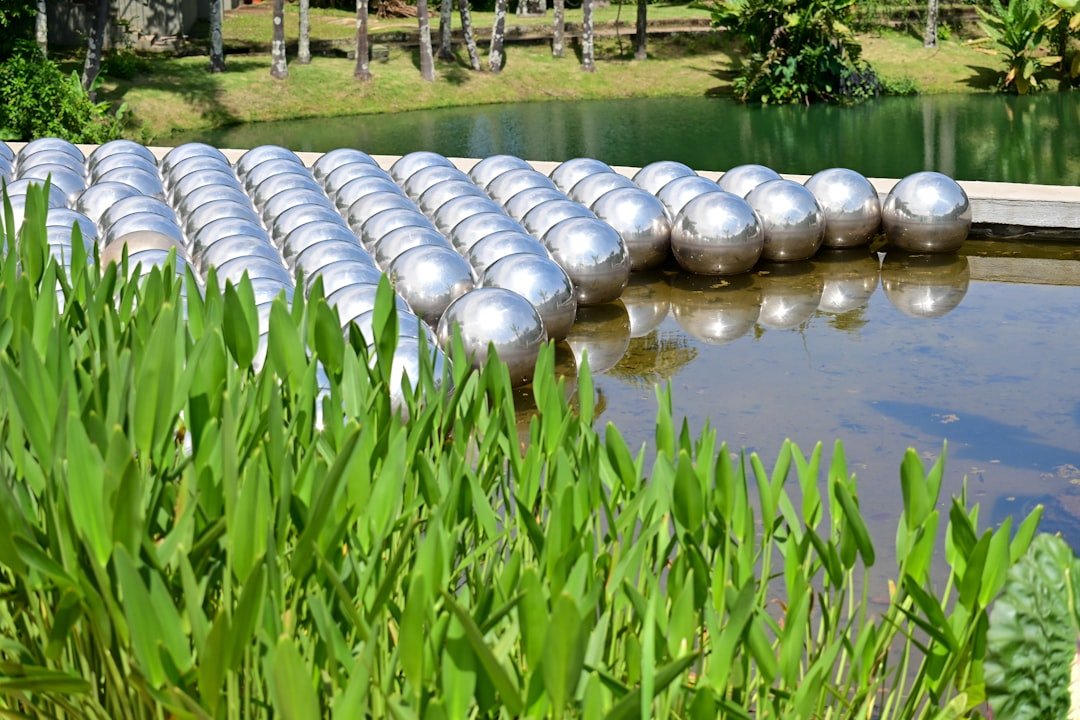 Light Placement for Breeding Tanks: Optimize Growth & Success - Top ...