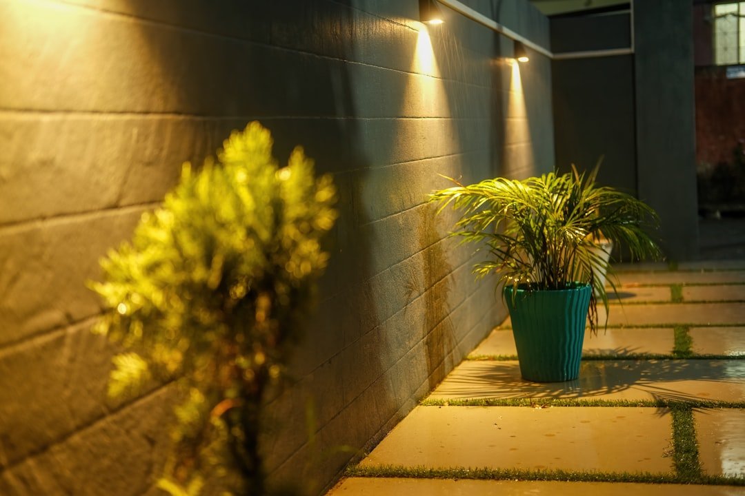Lighting for Community Planted Tanks: Ultimate Guide to Vibrant Growth ...