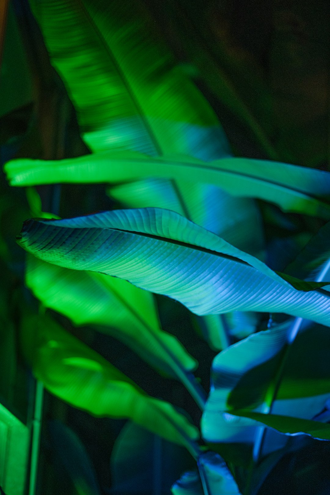 Lighting for Planted Aquarium Beginners: Ultimate Guide to Success ...