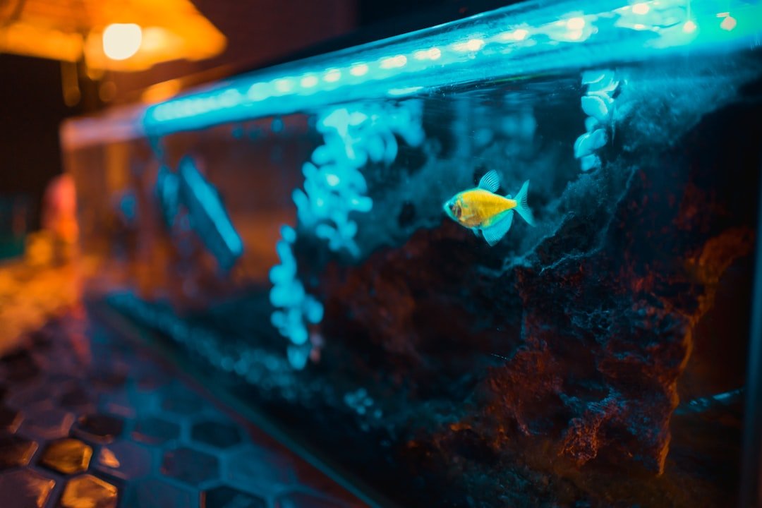 Proper Lighting for a Species Tank: Ultimate Guide for Vibrant ...